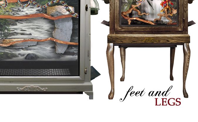 Feet and Legs For Your Bird Cage