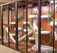 Highly Customizable Reptile Cages | Custom Cages
