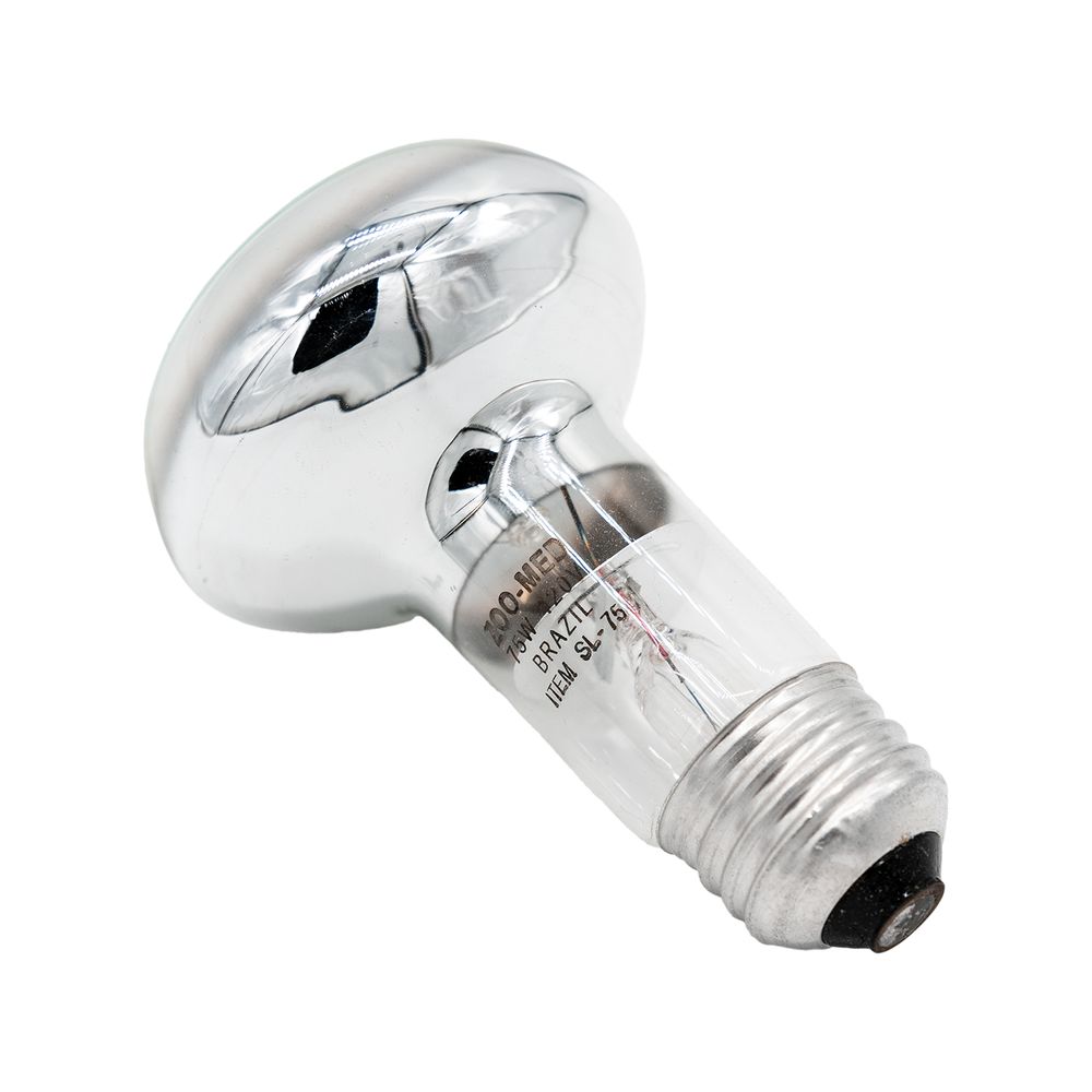 Basking Spot Lamp (Zoo Med) - Reptile Heating