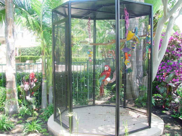 Bird Cage Photo Wall | Custom Cages - Custom Cages