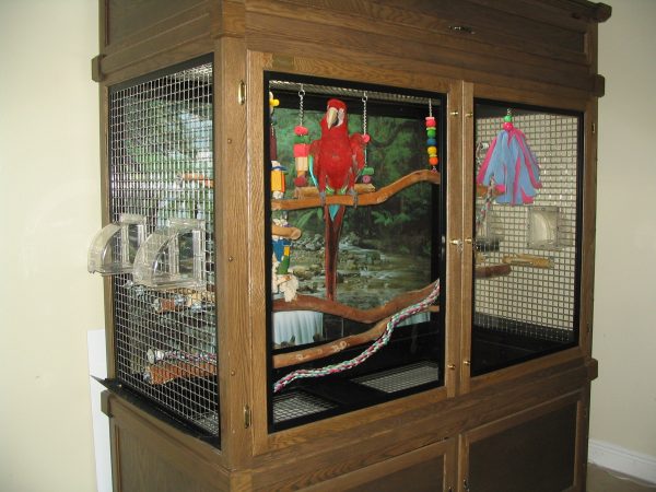 Bird Cage Photo Wall | Custom Cages - Custom Cages