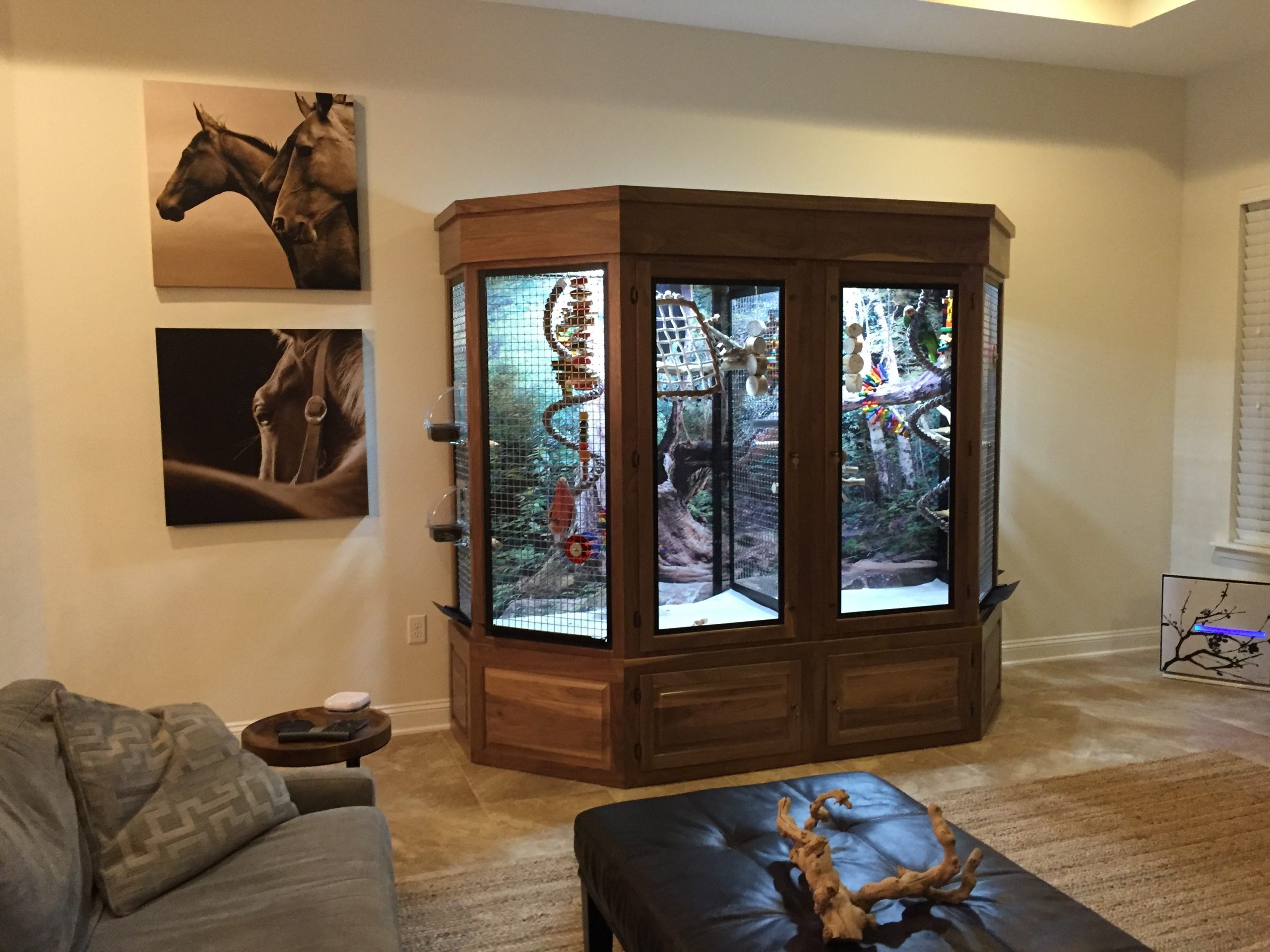 Bird Cage Photo Wall | Custom Cages - Custom Cages