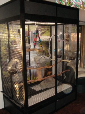 Customer Photo Wall | CustomCages.com - Custom Cages