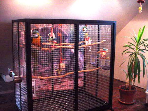 Customer Photo Wall | CustomCages.com - Custom Cages