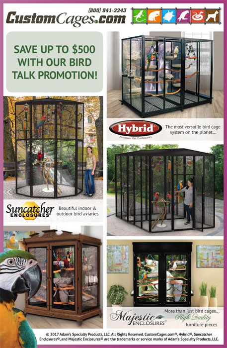 Bird Talk Magazine | Custom Cages - Custom Cages