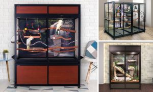 Custom Cages - Bird, Reptile & Cat Cages - Custom Cages