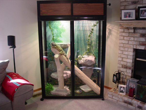 Reptile Cage Photo Wall | Custom Cages - Custom Cages